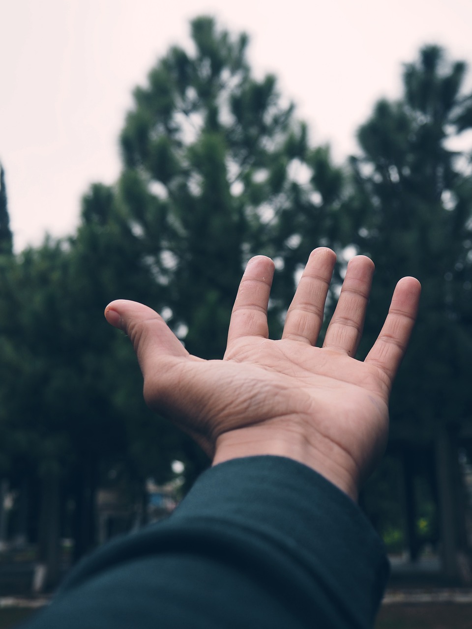 Taking offense - Centre For Peaceful Solutions